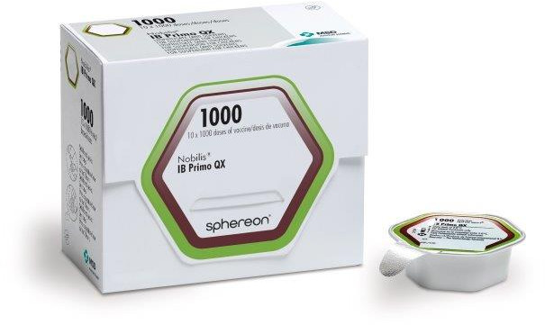 Nobilis® IB Primo QX - MSD Animal Health South Africa