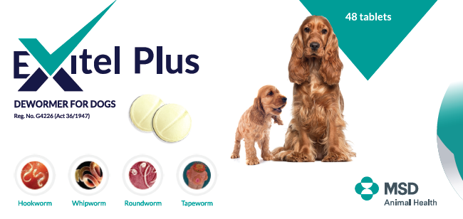 Exitel Plus - MSD Animal Health South Africa