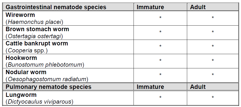 Avotan® Pour-On - MSD Animal Health South Africa