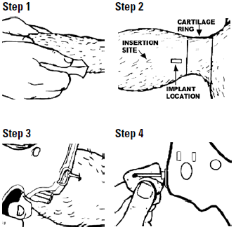 Ralgro® Cattle Implants - MSD Animal Health South Africa