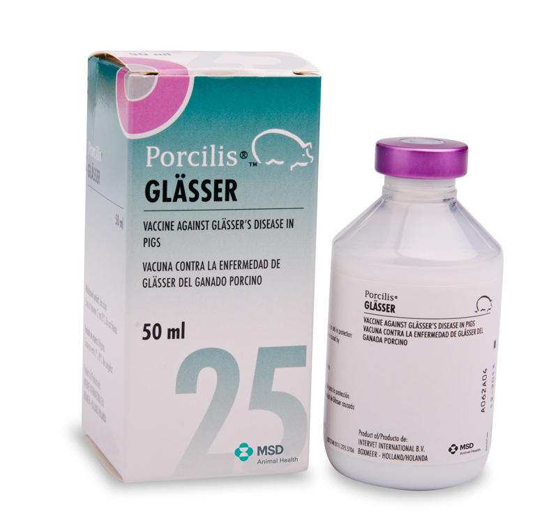 PORCILIS® GLäSSER - MSD Animal Health South Africa