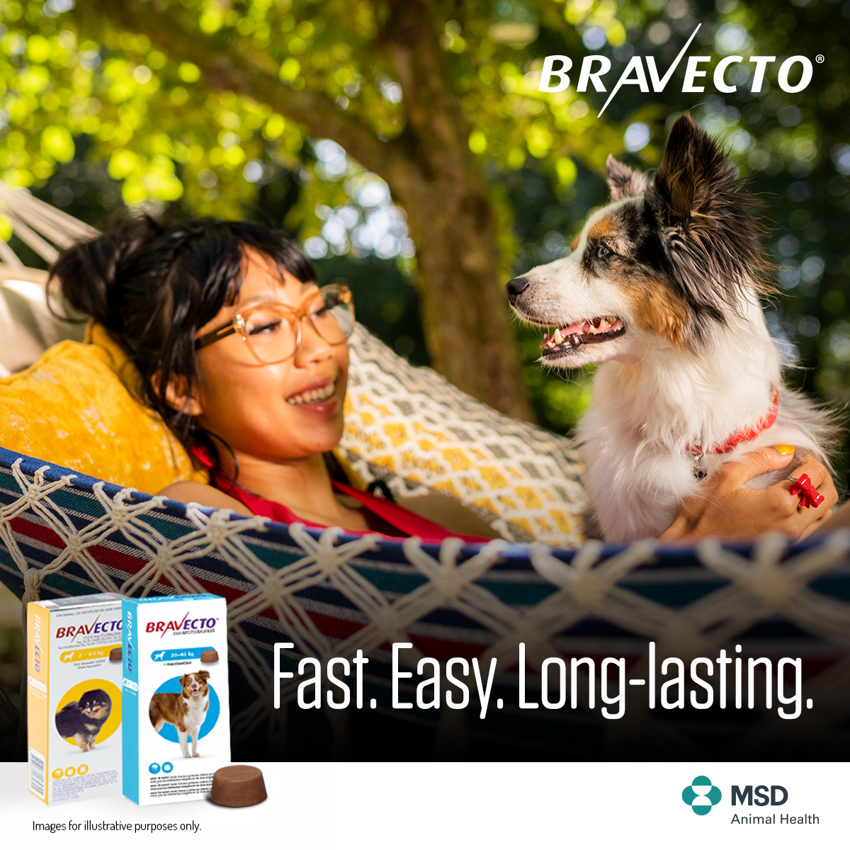 Bravecto® Videos - MSD Animal Health South Africa