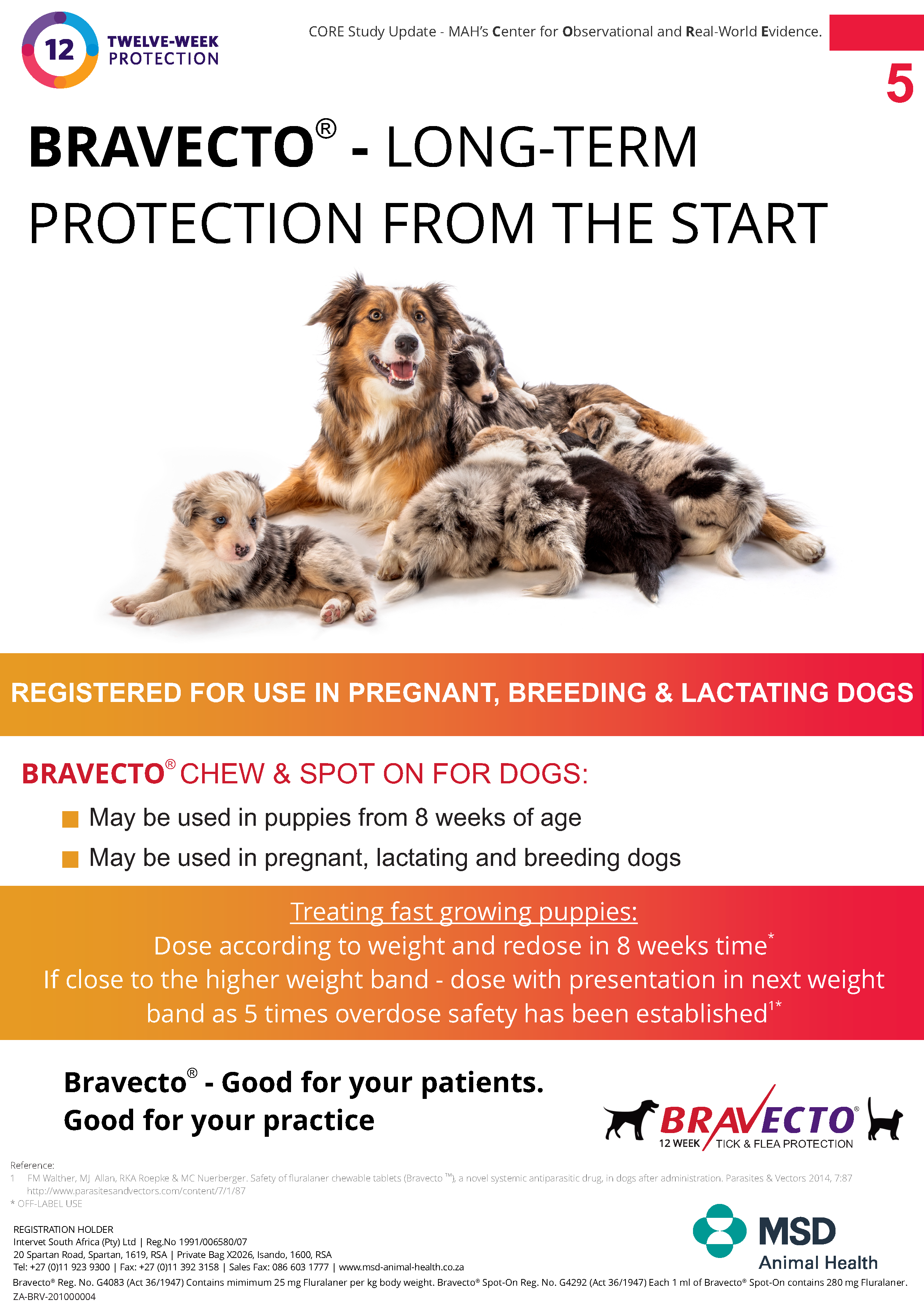 Bravecto Detailers - MSD Animal Health South Africa