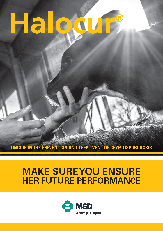 What's New - MSD Animal Health South Africa