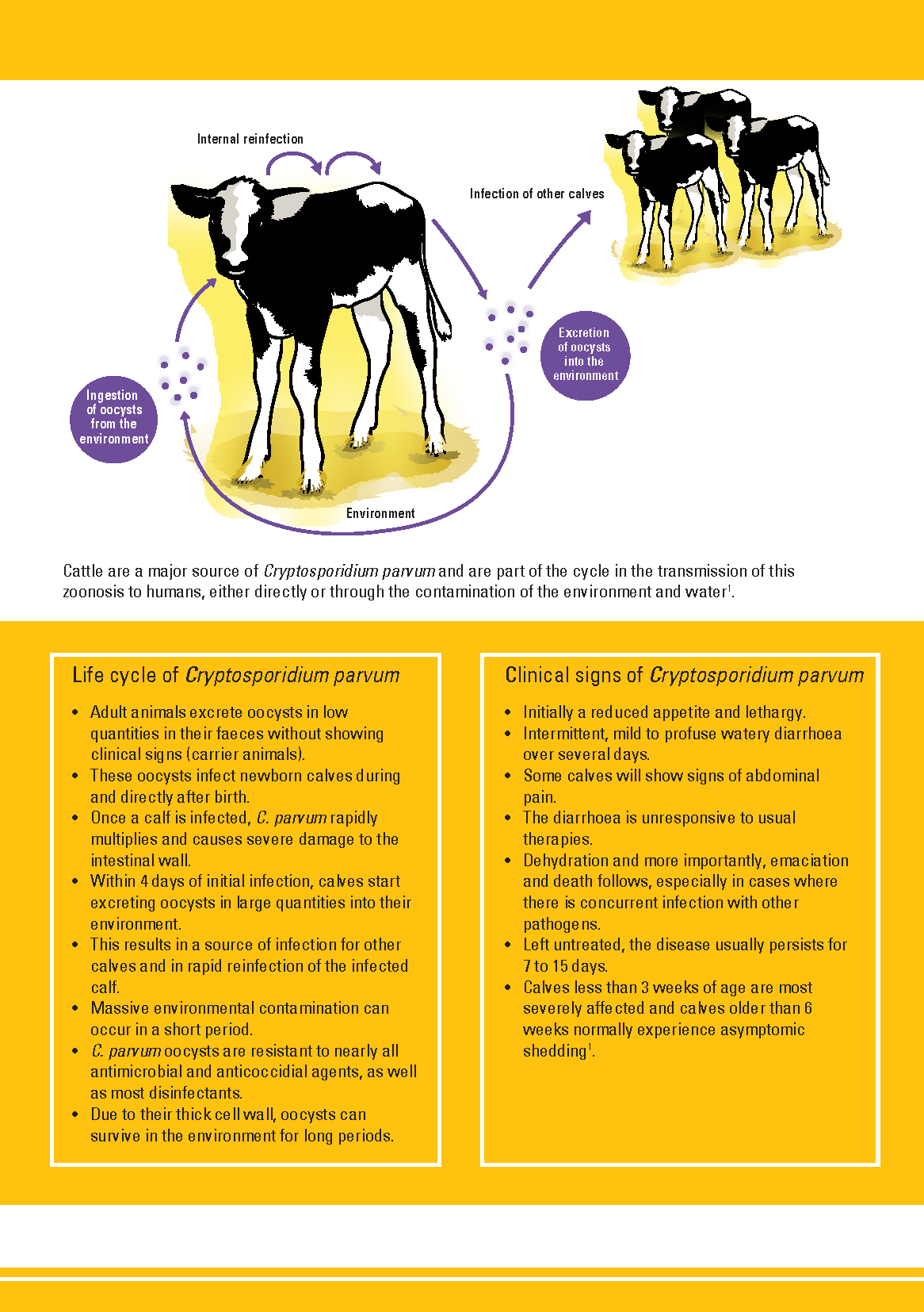 What's New - MSD Animal Health South Africa