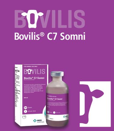 Packshot Repository - MSD Animal Health South Africa