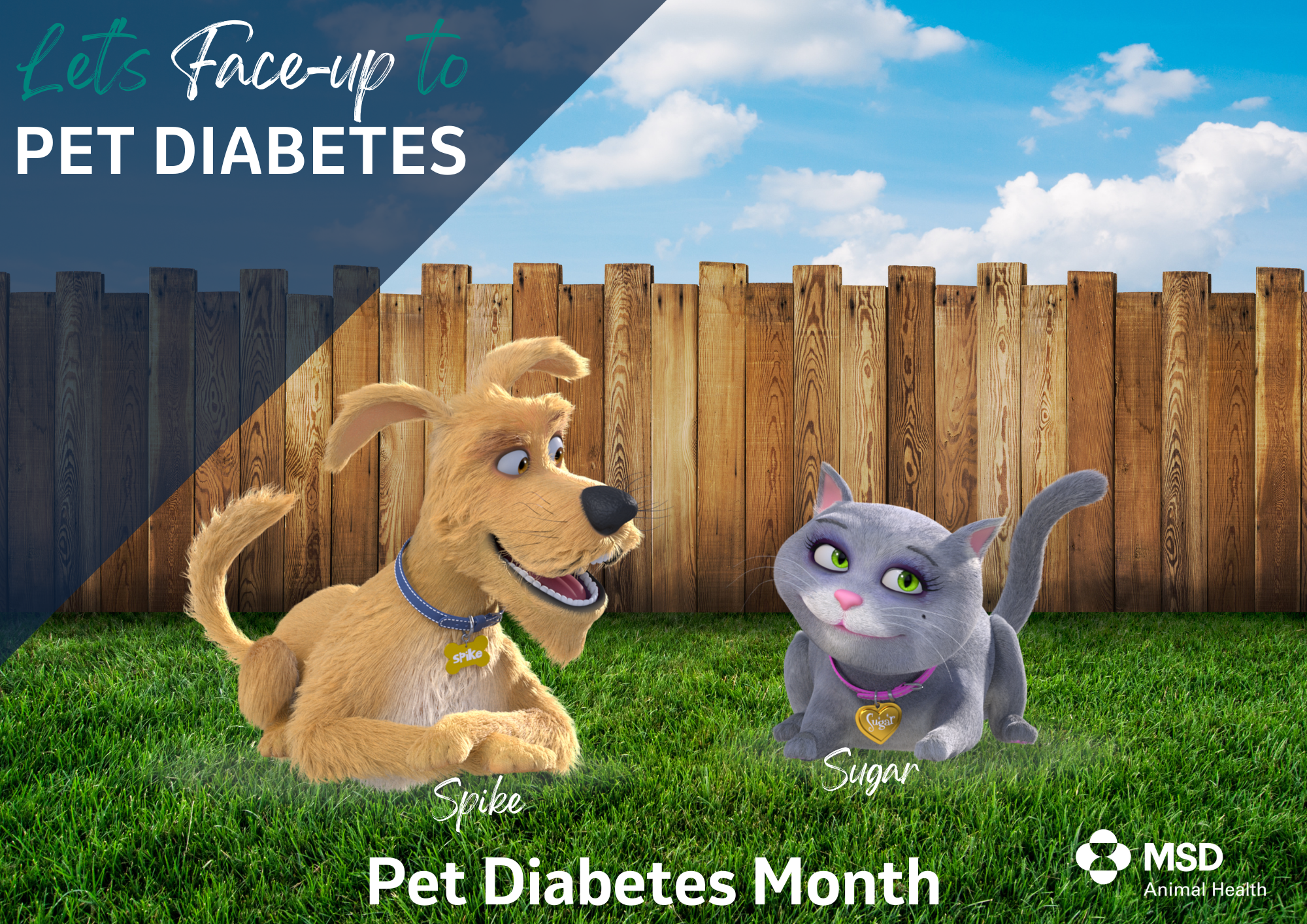 Pet Diabetes - Mobile landing page - MSD Animal Health South Africa