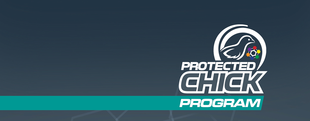 Protected Chick - MSD Animal Health South Africa