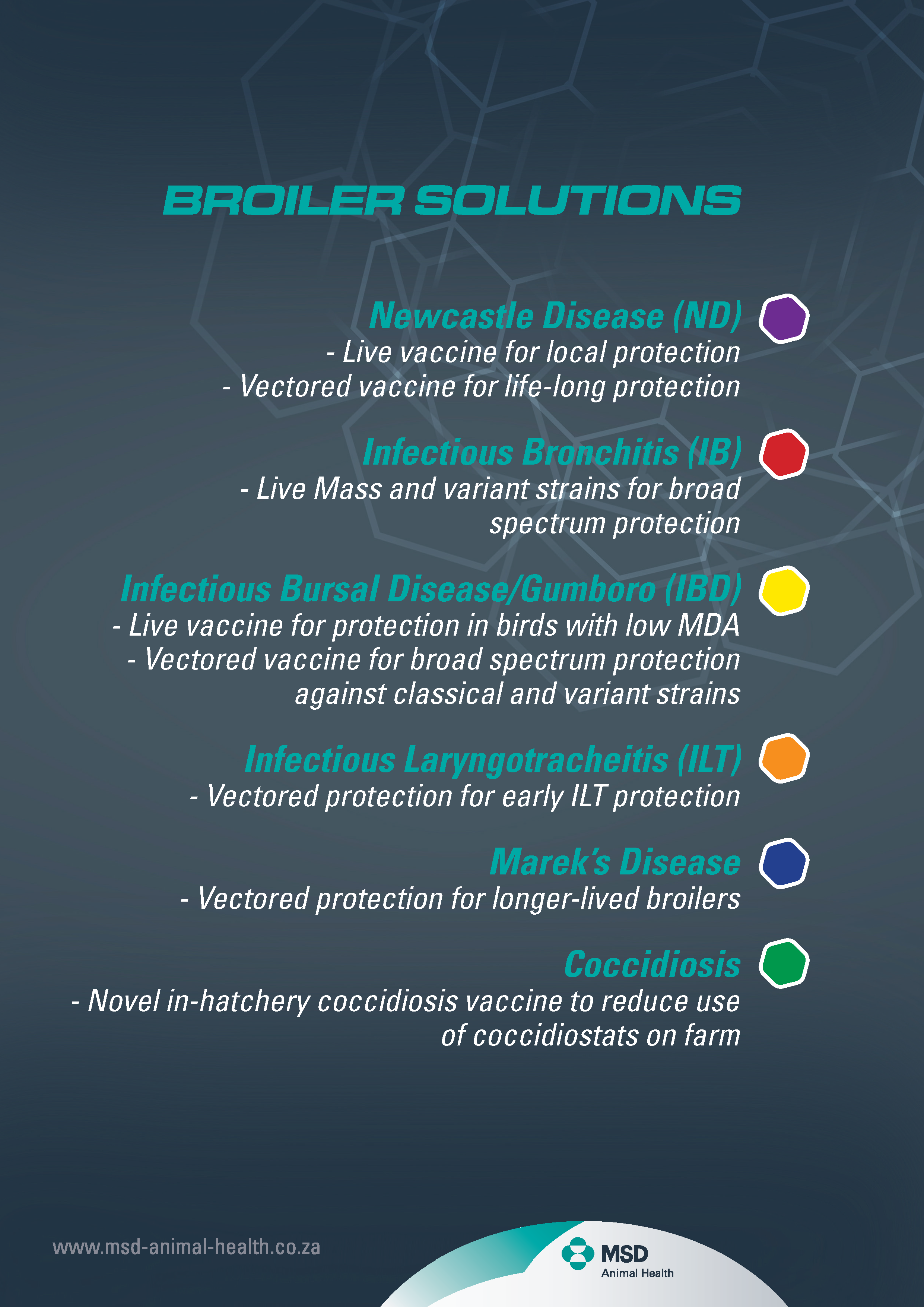 Protected Chick - MSD Animal Health South Africa
