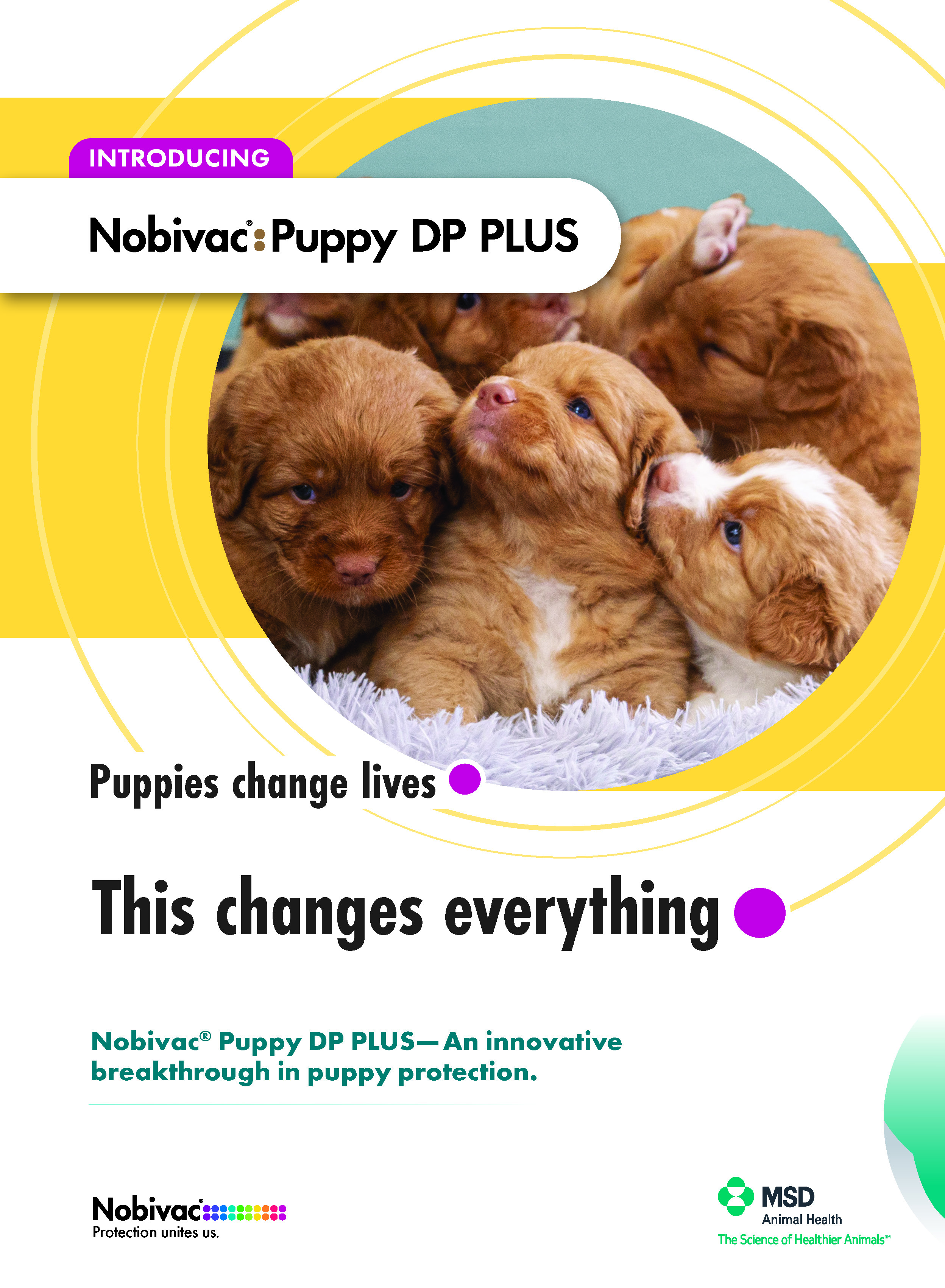 Nobivac® Puppy DP PLUS - MSD Animal Health South Africa