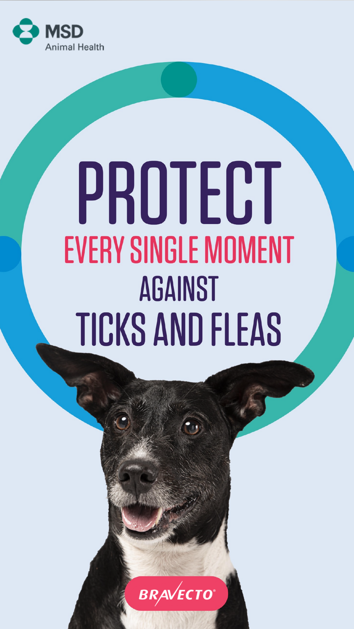 Bravecto® Training Modules - MSD Animal Health South Africa Bravecto® Training Modules - MSD Animal Health South Africa