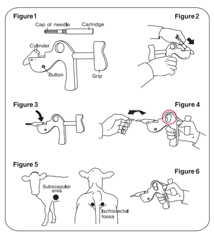 Boostin® Plus - MSD Animal Health South Africa