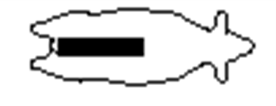 Sovereign® - MSD Animal Health South Africa