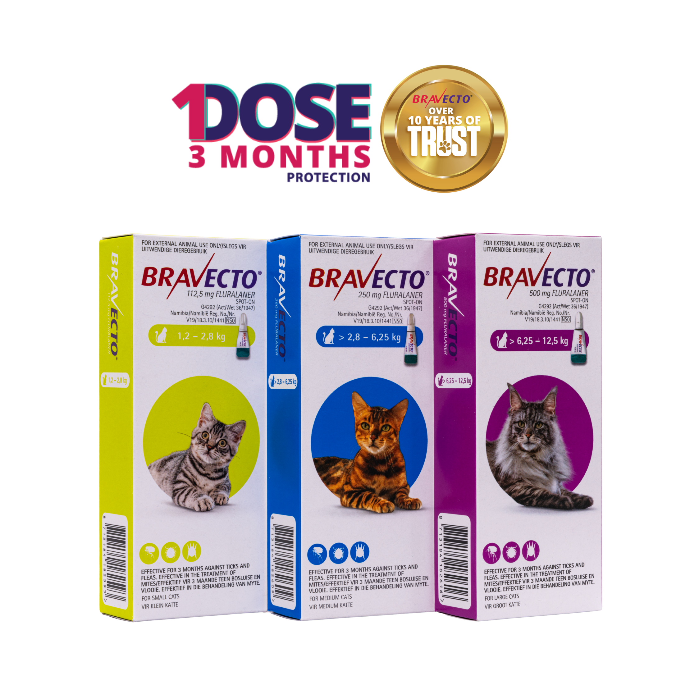 Bravecto Spot-on Cat Packshot - MSD Animal Health South Africa